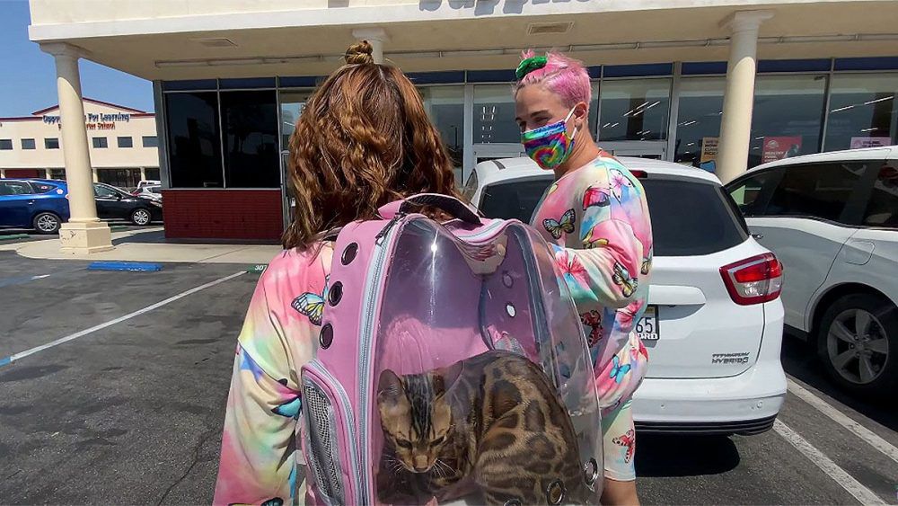 Candy Ken: Video für deutsche Fans - Insta-Account für's ungeborene Baby